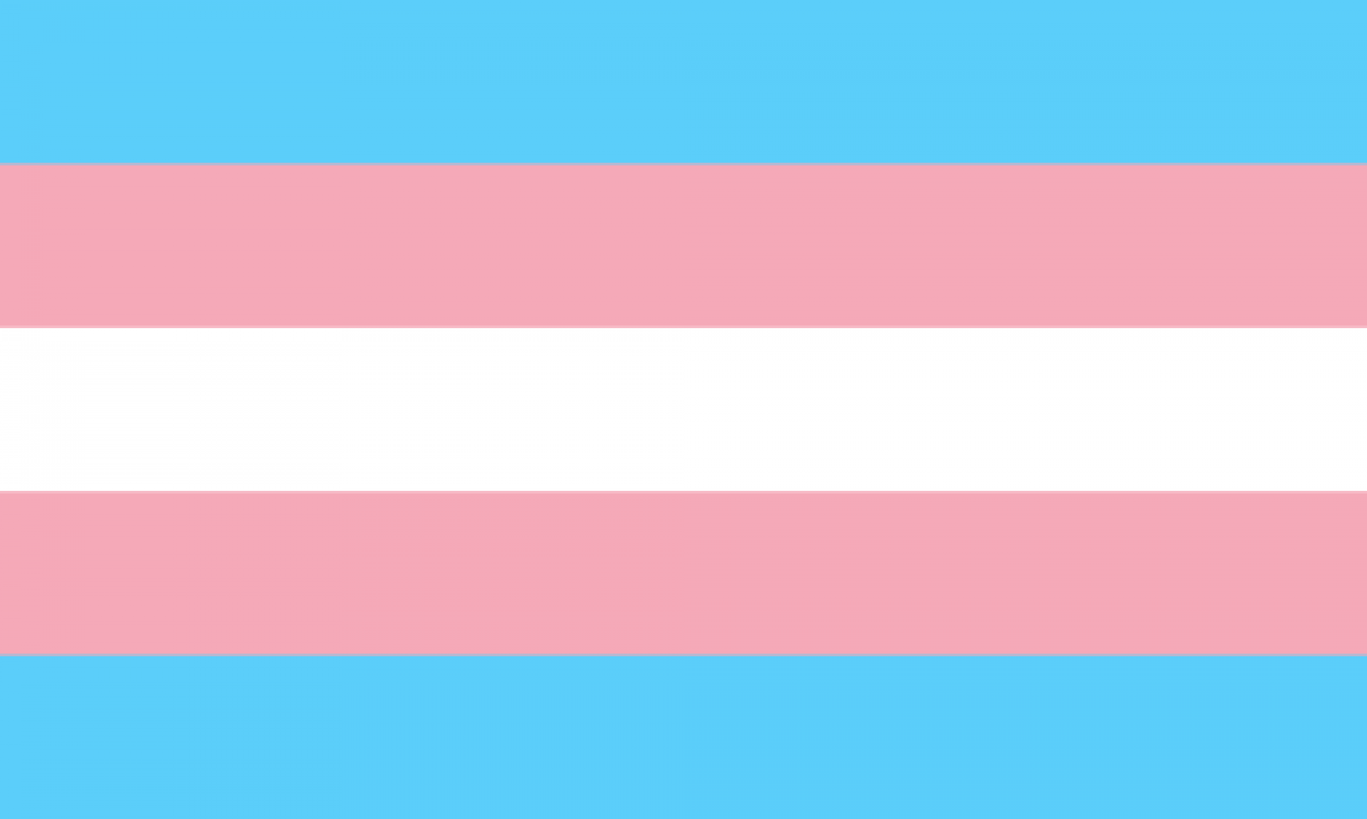 Newly assembled trans task force takes shape – The Lumberjack